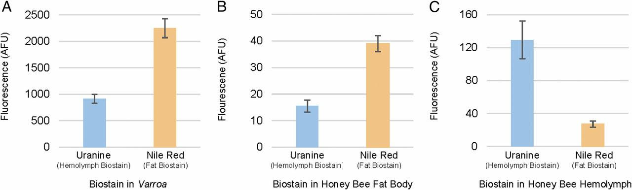 Dr. Ramsey Fundamentally Changes Our Understanding of Varroa destructor ...
